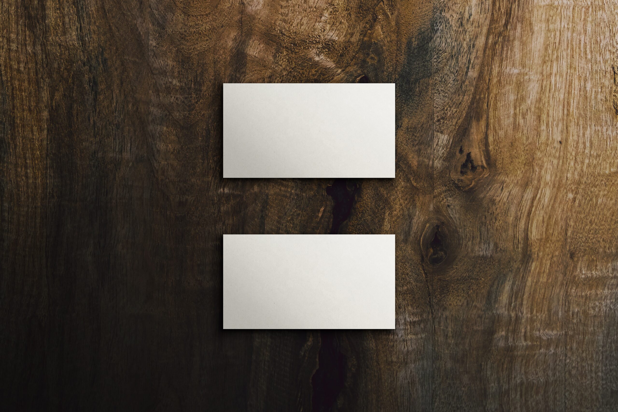 Meishi (名刺 - Business/Name Card) - Learning English and Japanese